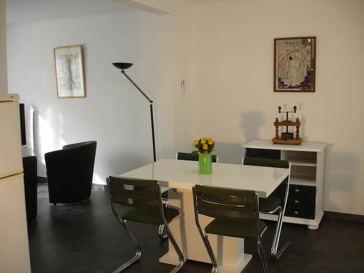 Maison Climatisée Avec Terrasse - Saint-Cyprien