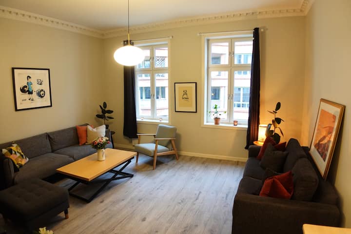 Welcoming Central Spacious Stay - Oslo