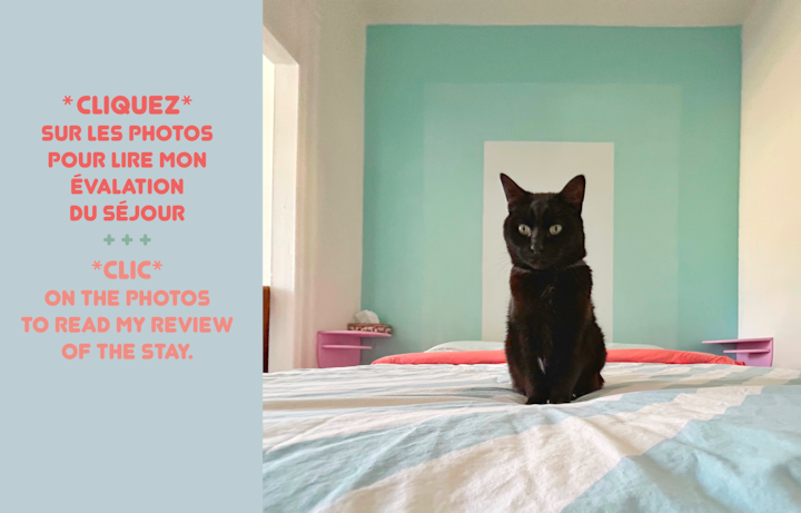 Grand Et Lumineux 4 1/2 Propre Et Fonctionnel - Longueuil