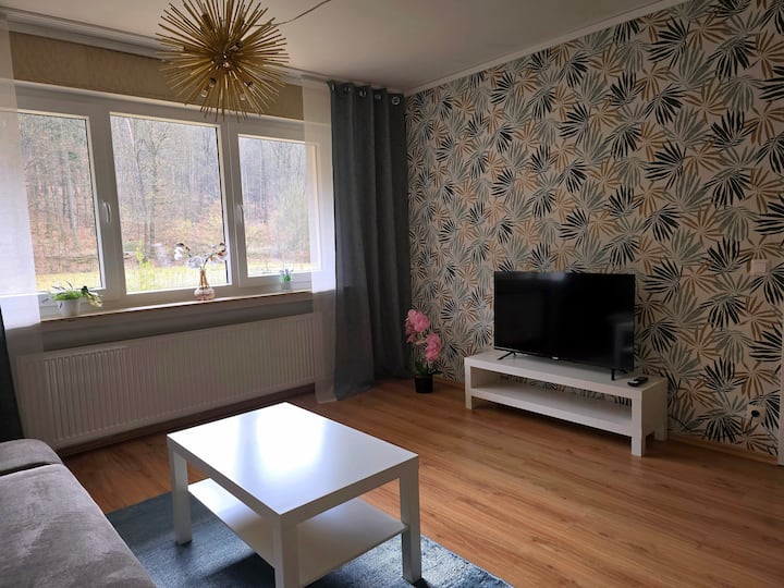 Marburg Apartment Feuriger Felix Mit Kamin - Marbourg