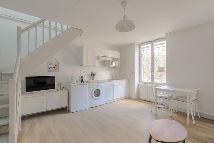 "Le Saône" : Très Beau Duplex à Vaise 2 Pers - Dardilly