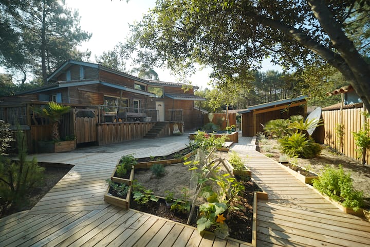 Sérénité Au Coeur De La Pinède - Lacanau