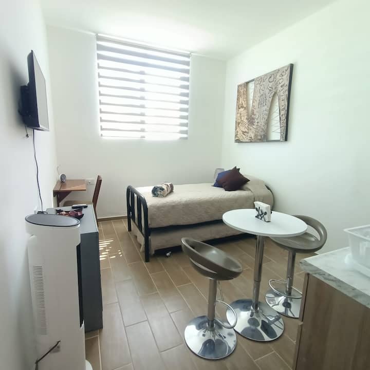 Magnífico Loft Nuevo Con Ubicación Magnífica - Aguascalientes