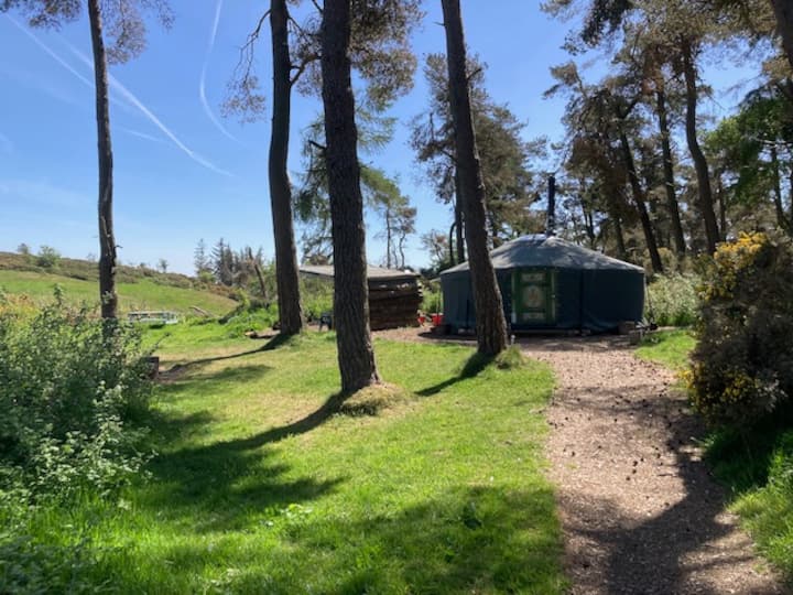 Penbedw Uchaf Yurt 1/n.wales Sleeps Max 6 - North Wales