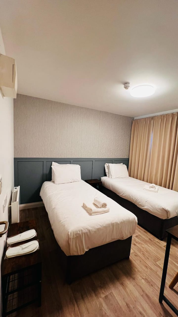 Twin Room Close To Temple Bar - 