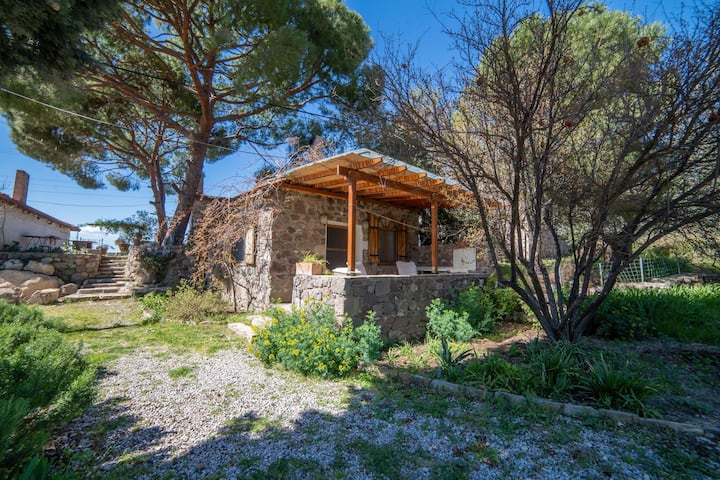 Bademli Olive Farm Stay - Cottage 1 - Bademli