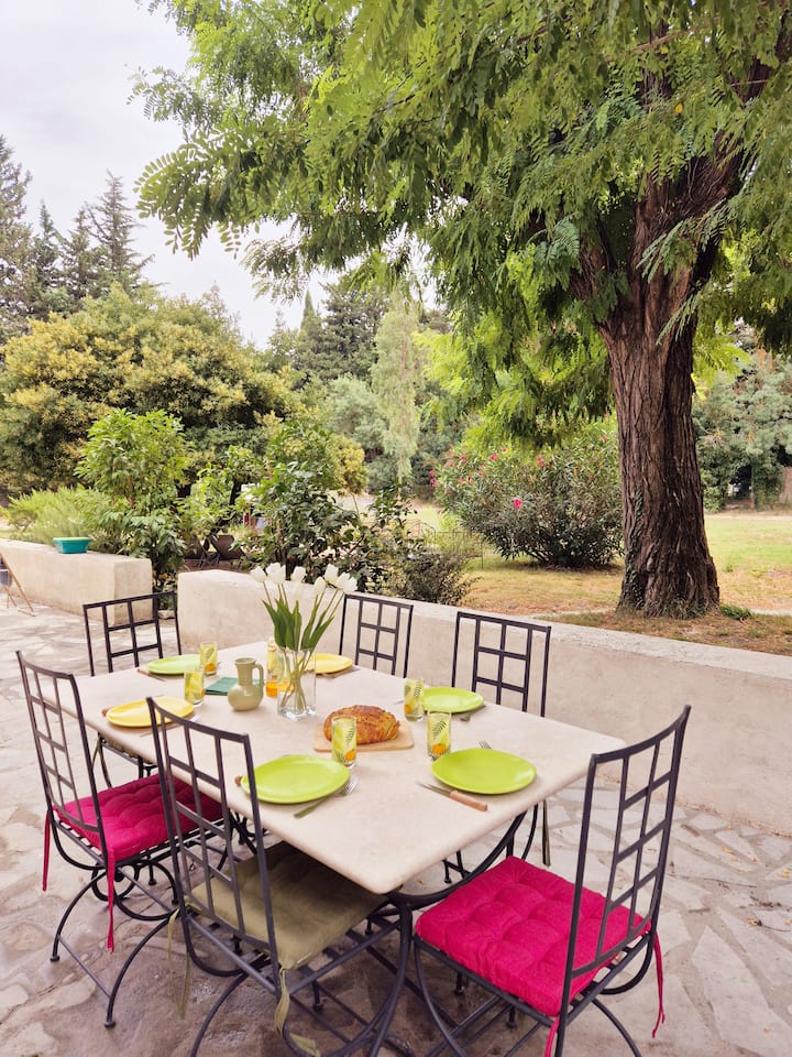 Le Mas De Lou "La Provence" 9 Couchages - Beaucaire