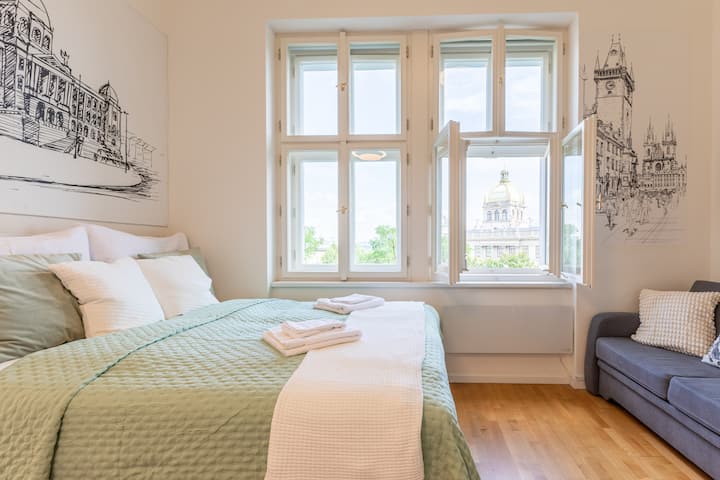 Nově Zrekonstruovaný Byt Vedle Národního Muzea - براغ