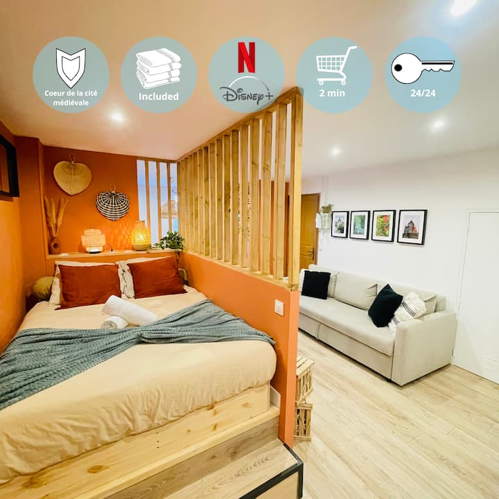 La Demeure Des Troubadours - Hyper Centre - Provins