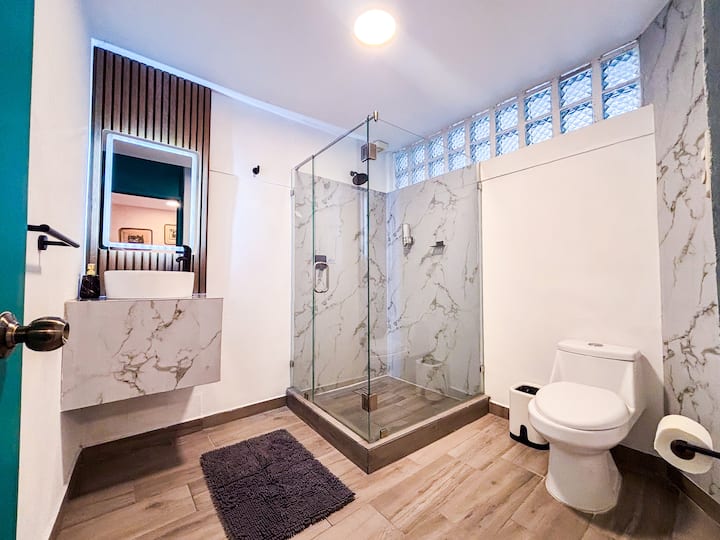 1 Centrico A Pie De Calle/casa Concepto - Guanajuato