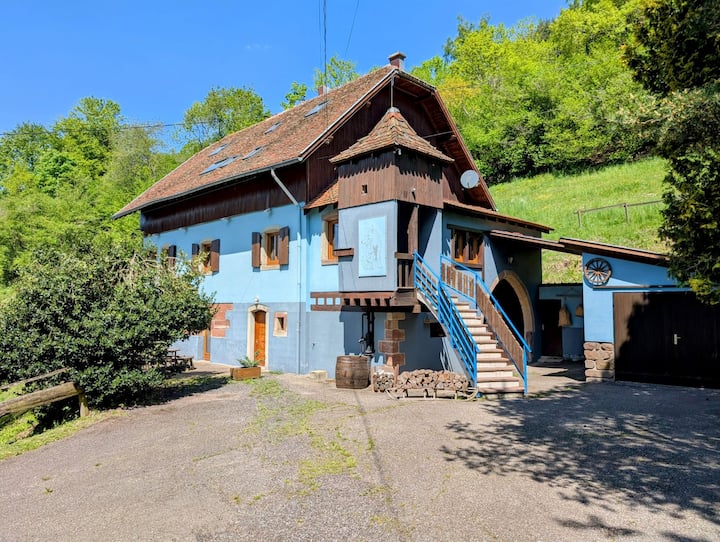 Le Gîte Du Loup - 22 Couchages - - Champ du Feu