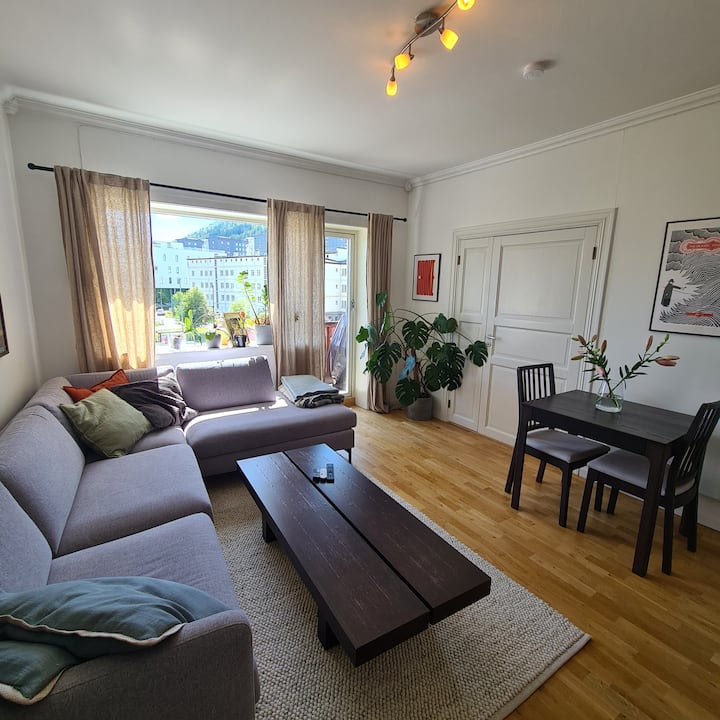Apartment Near The City Centre - Bergen