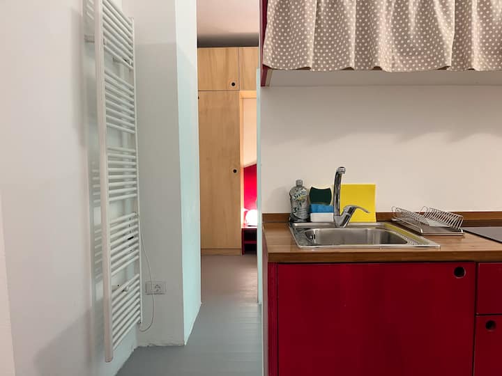 Mono 29 Dans Le Centre De Vernazza - Vernazza