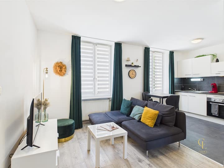 Cocon Zen Balneo - Appt Rdc Proche Centre Mulhouse - Mulhouse