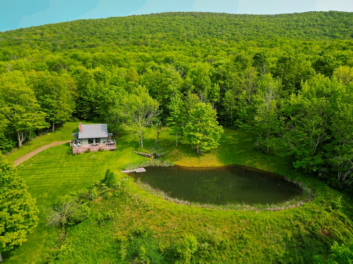 Catskills Cabin W Pond And Views - Roxbury, NY