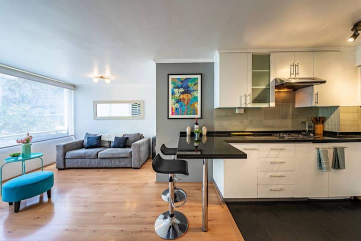 Lindo Y Bien Equipado En Mejor Sector  Povidencia! - Providencia, Chile