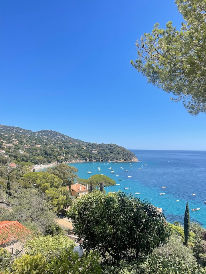 Appartement Rayol-canadel 4 Pers - Rayol-Canadel-sur-Mer