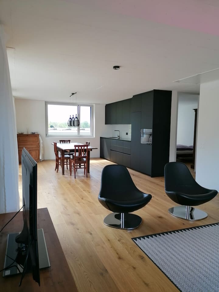 Casa Carlo - Bellinzona