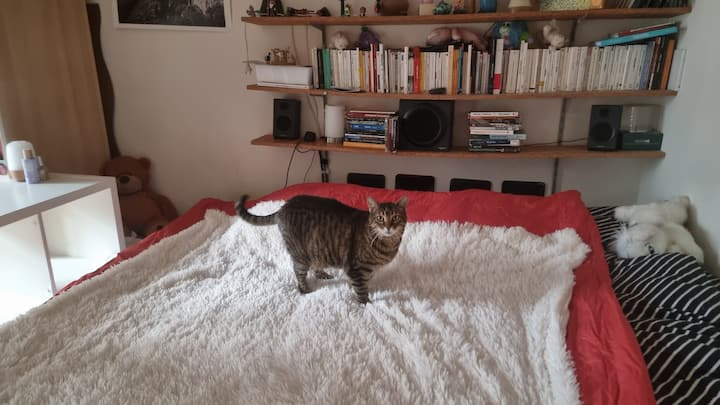 Chambre à Partager Avec Un Chat(girl Only) - Geneva