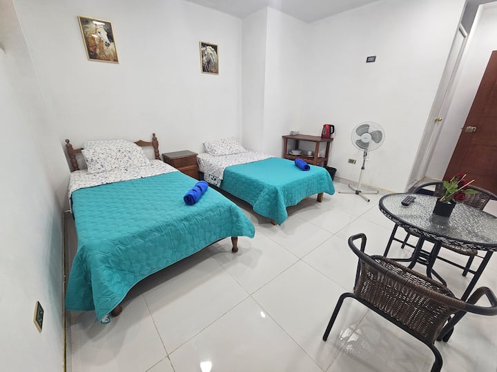 Cómoda Habitación Con Baño Privado Y Tv - La Merced