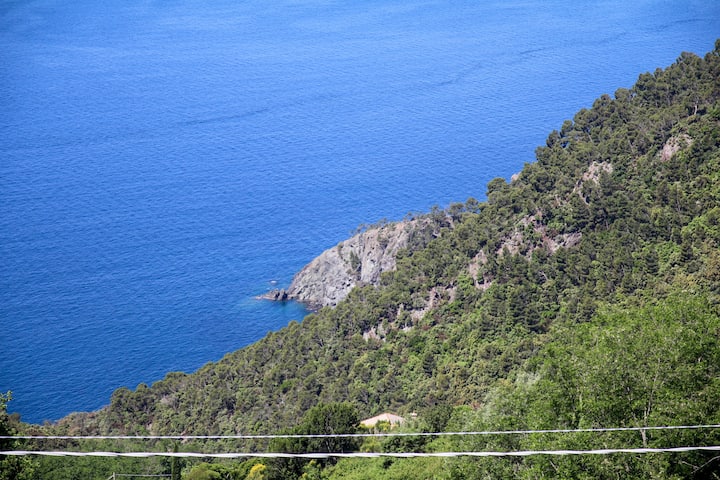 La Notte Sull'isola - Giardino - Bonassola