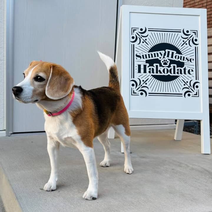 一日一組限定 専用玄関付き
大きなワンちゃんも泊まれる宿
函館駅、空港まで無料送迎いたします - Hakodate