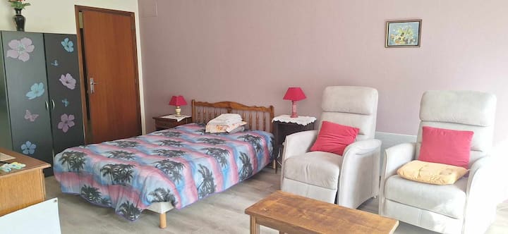 Studio 32 M². Balcon. Parking - Amélie-les-Bains-Palalda