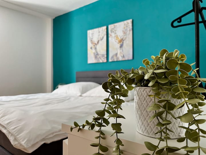 Zentrale Altstadt-ferienwohnung - 班貝格