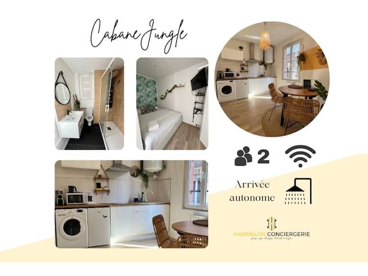 Cabane Jungle Appt 2p Cosy Calme Rouen Fac - Rouen