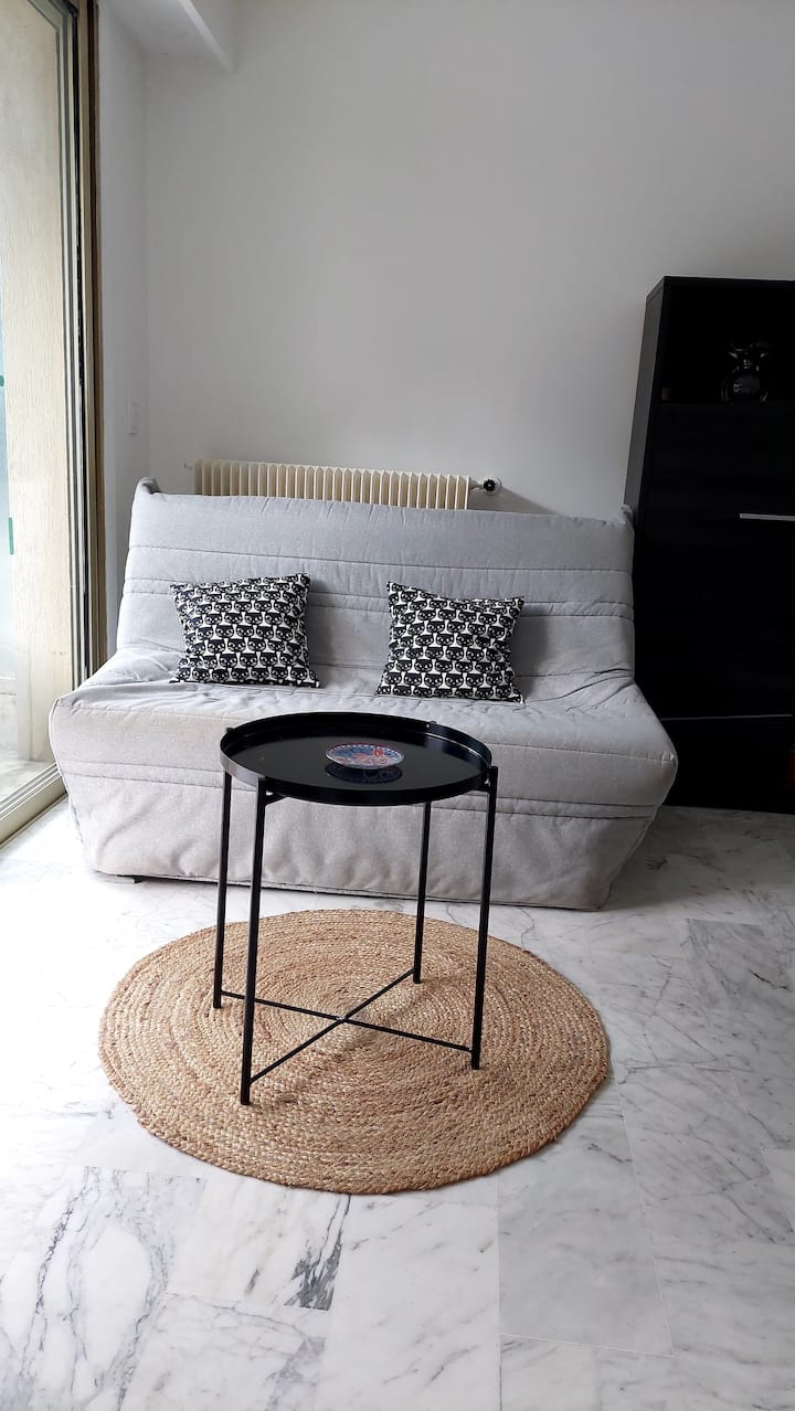 Le Cir Proche De La Croisette - Cannes