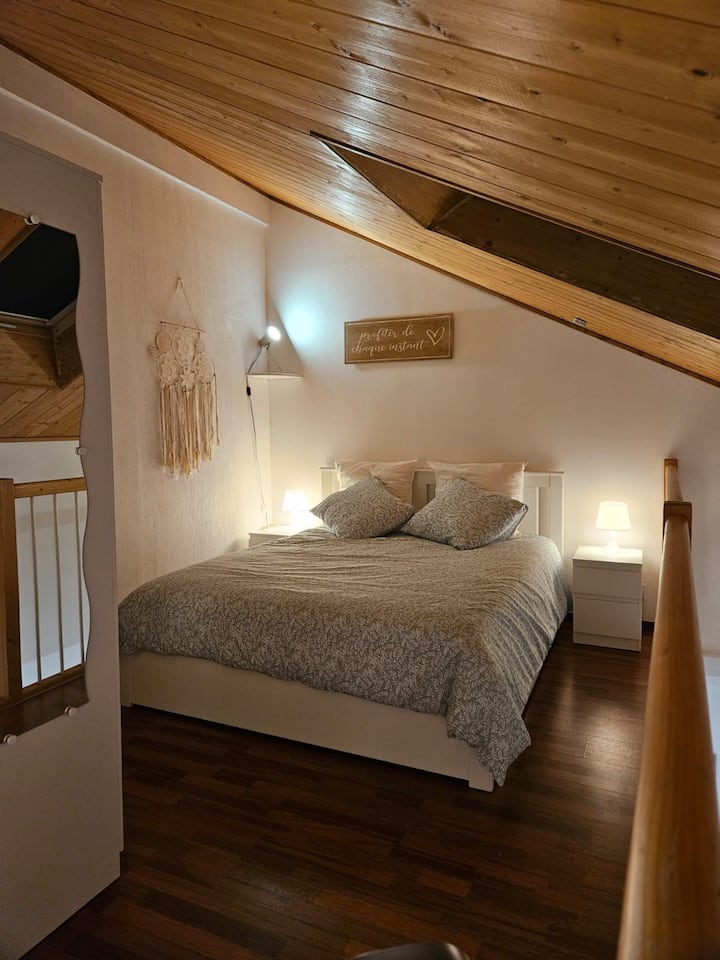 Vue Coulée Verte Duplex De Charme Proche Garibaldi - Nice