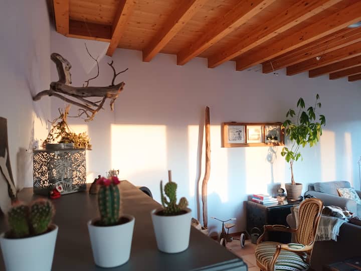 Maison Sur La Riviera - Vevey