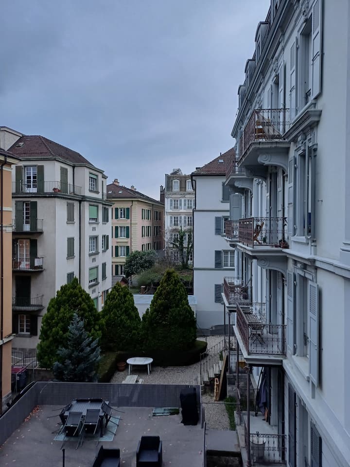 Chat Botté - Lausanne