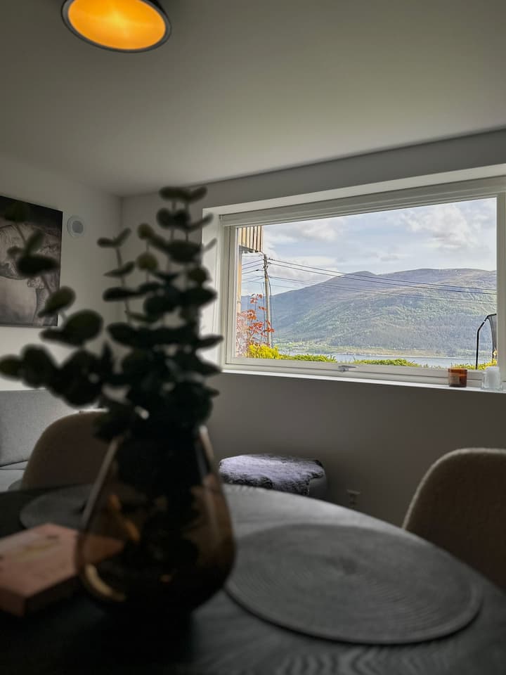 Cozy Basement Apartment - Ålesund