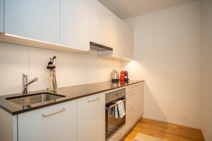 Central Studio Apartment With Free Baselcard - Basel