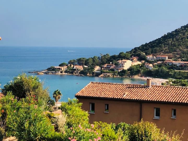 Villa 4 Chambres Vue Mer Piscine - Corse