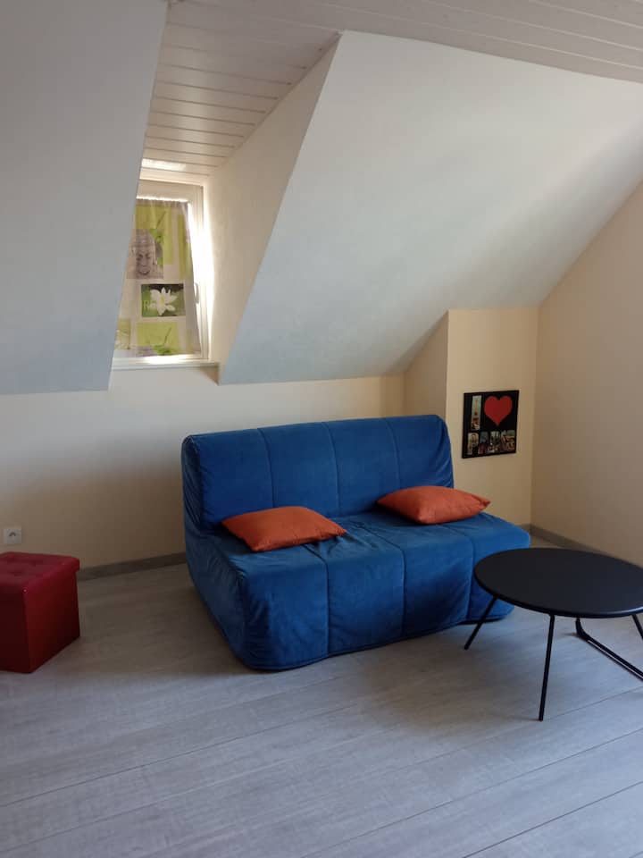 Appartement Spacieux Proche De Strasbourg - Eckbolsheim