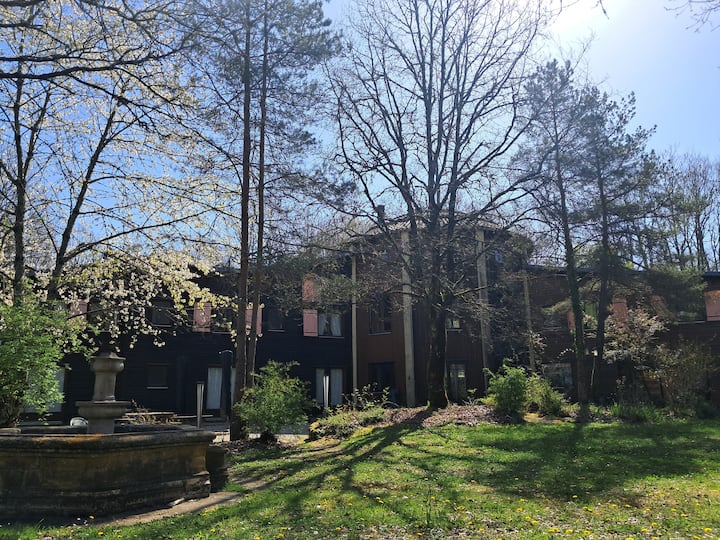 Maison D'hôtes Et De Stages - Montignac