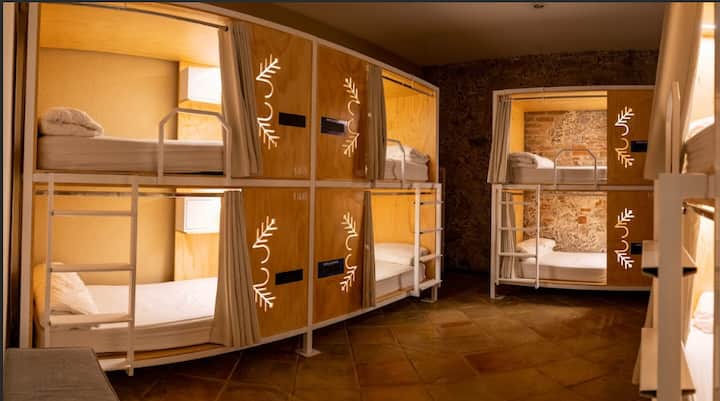 Accomodation In Puebla In 8-bed Mixed Dorm - Puebla