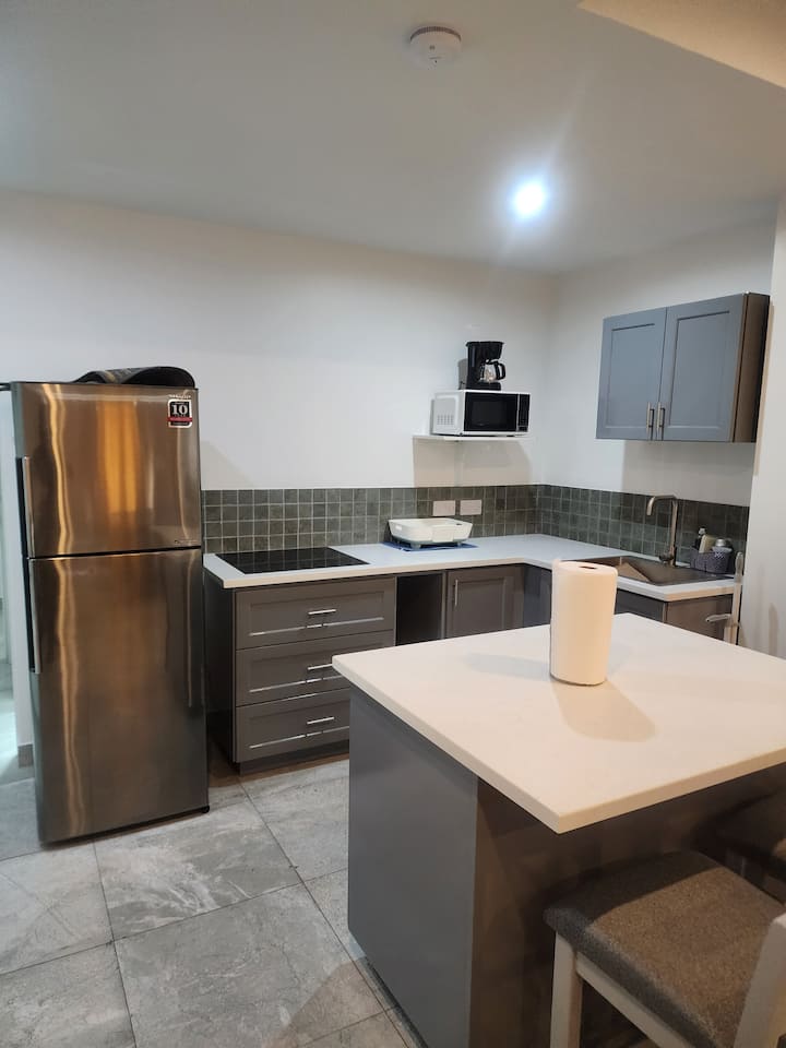 Top View Apartment #1 Modern Dt/1br Fast Wifi - Grenada