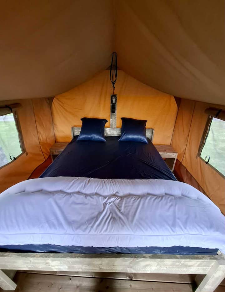 Tente Lodge Junior - Abbeville