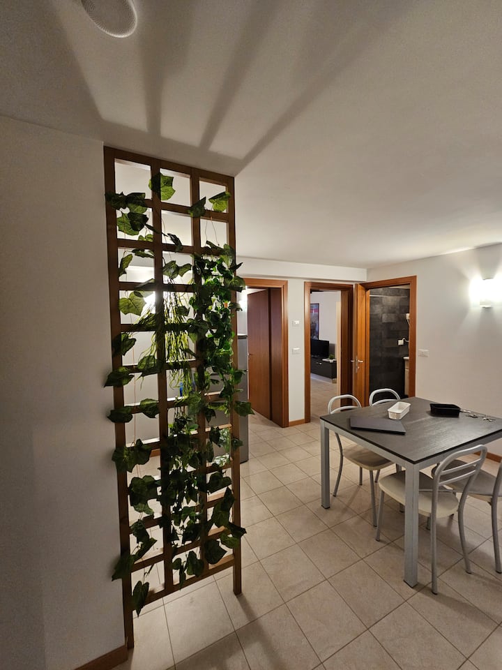 Canaletto Venice Apartment 50metri S.marco Square, - Venice