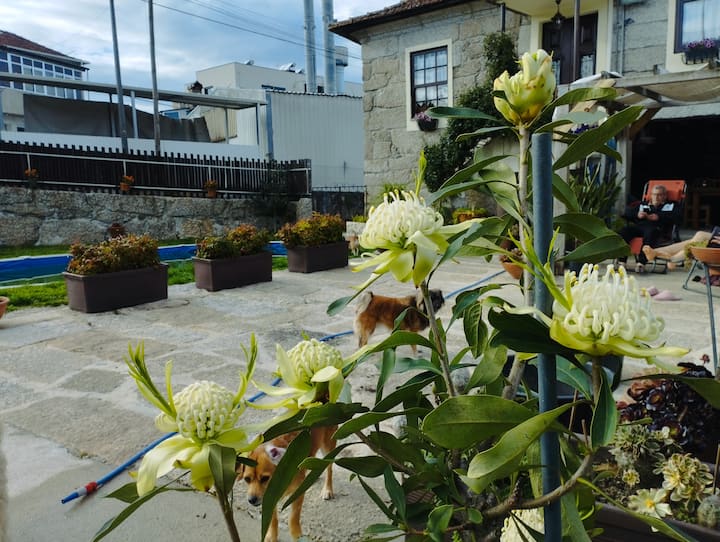 3house: Sol Na Eira - Paredes