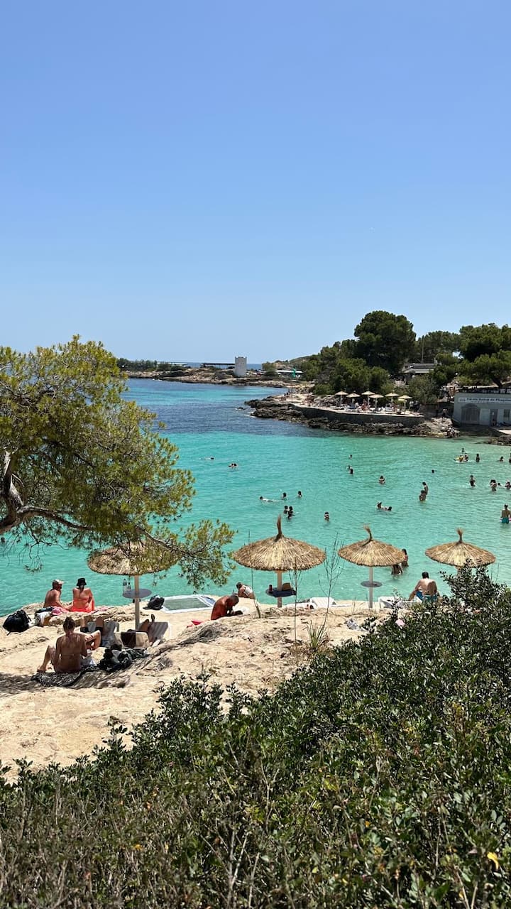 Best Location In Mallorca - Palma Nova