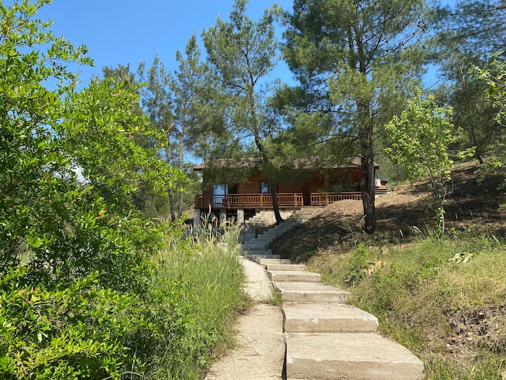 Doğa Manzaralı Sedir Villa - Çıralı