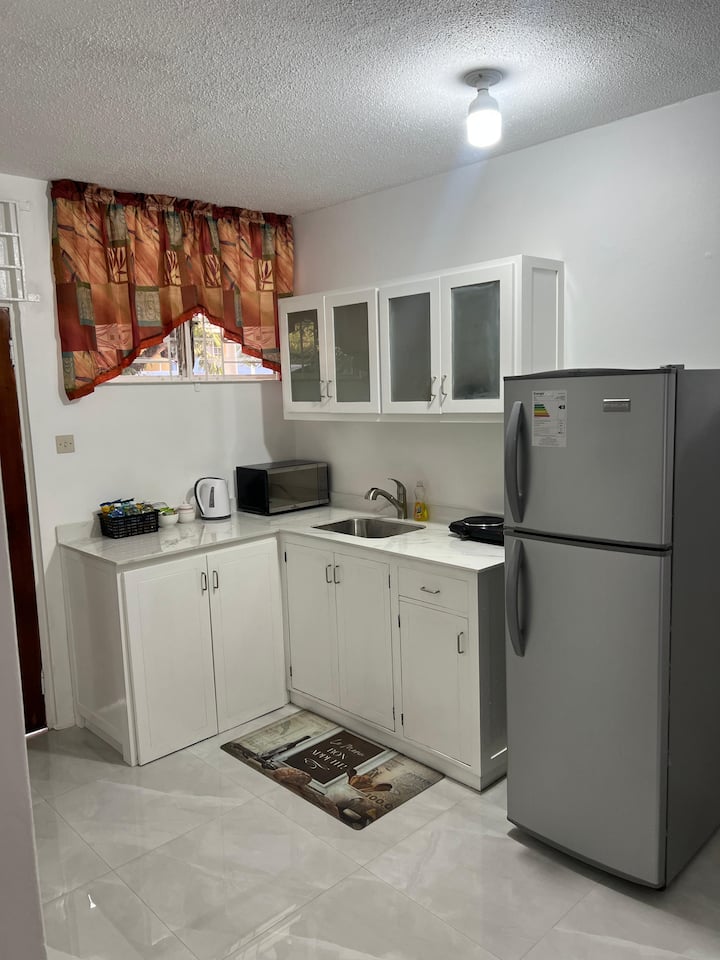 Apartment – Kingston Jamaica - Kingston