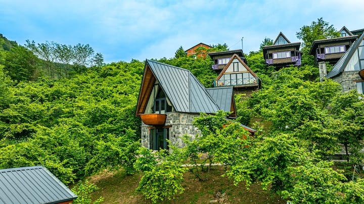 Jakuzili Taş Ev - Trabzon Il, Türkiye