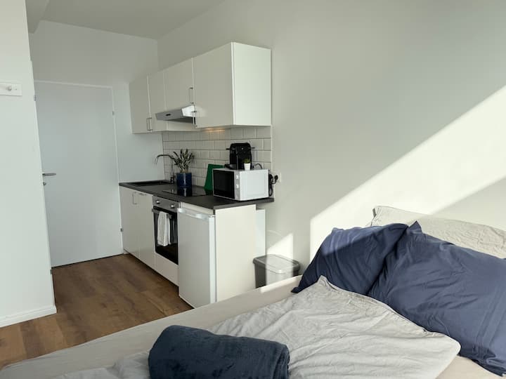 Bright New Flat At Praterstern 4 - Vienna