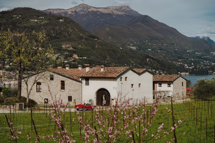 Dimora Con Vista Lago E Giardino - Salò
