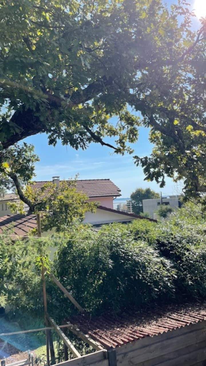 Belle Maison Avec Vue Sur Le Lac - Lacanau